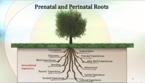Transforming the Trauma Tree: Recognizing, Reaching and Healing ...